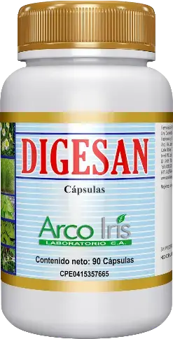 Digesan x 90 Capsulas
